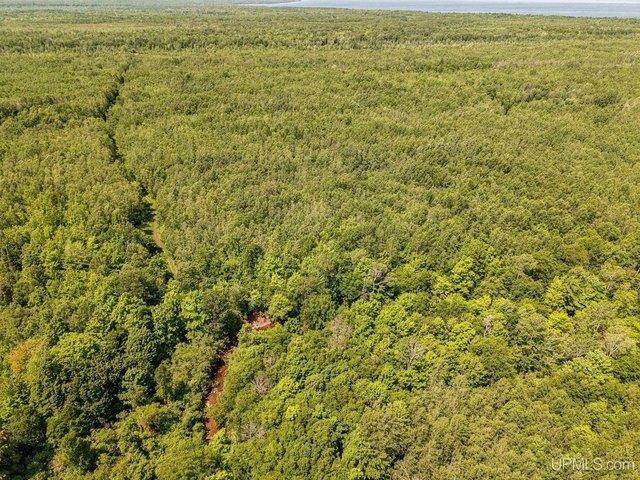 32954 Kingbird Ln, Carp Lake, MI 49718