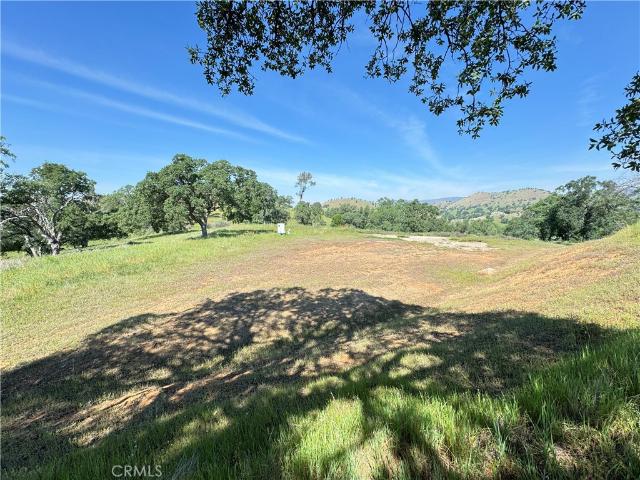 3295 Blue Oak Dr