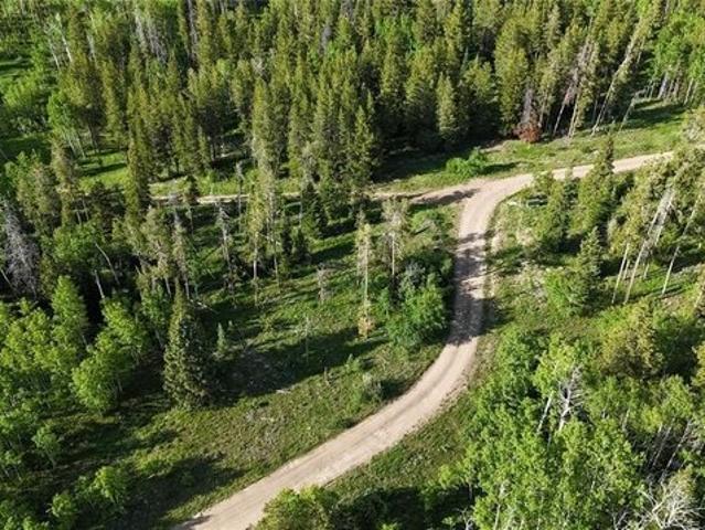 32965 Maverick Way Lot 17, Oak Creek, CO 80467