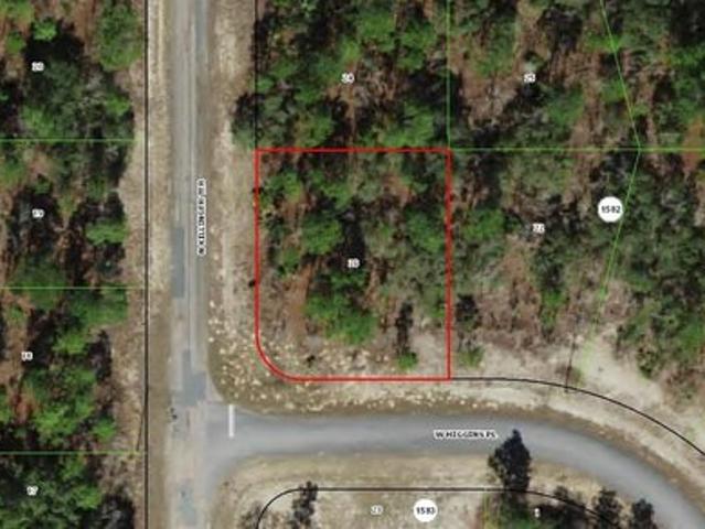 3299 W Higgins Pl, Citrus Springs, FL 34433