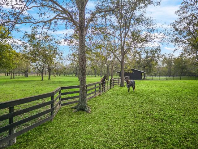 32903 Southern Manors Dr, Fulshear, TX 77441 | MLS #85193 | Compass