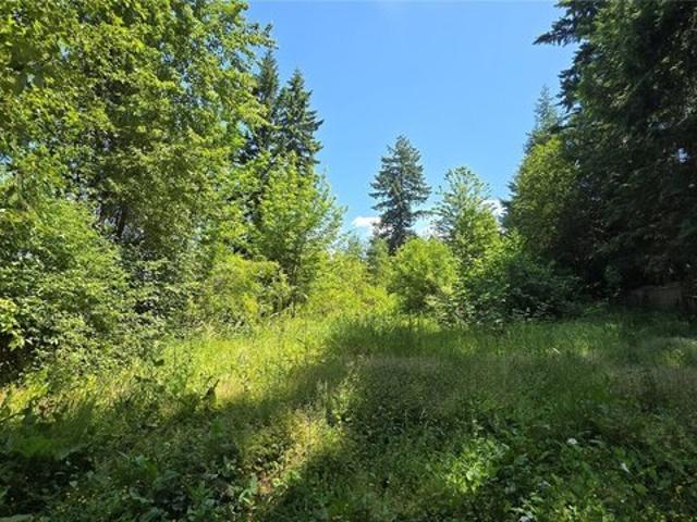 3291 nd Ave S, Roy, WA 98580