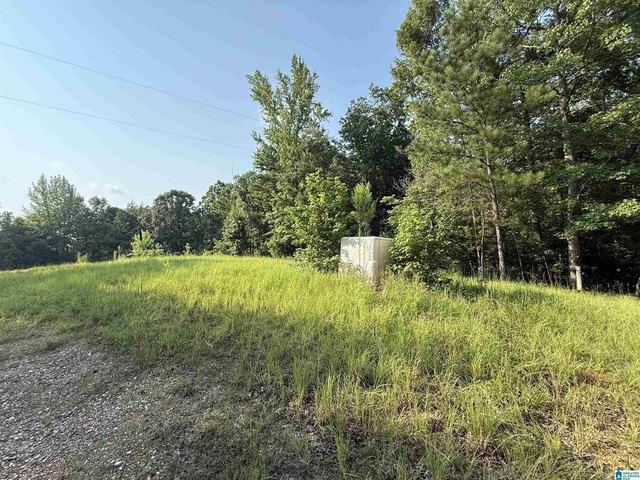 329 Coosa County Road 117 Lot 0, Goodwater, AL 35072