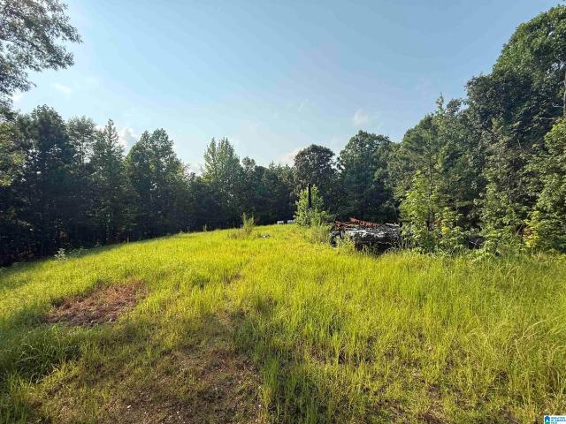 329 Coosa County Road 117 # 0