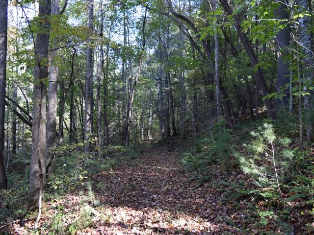 32.98 ac Zion Hill Rd, Ellijay, GA 30540 | MLS #422276