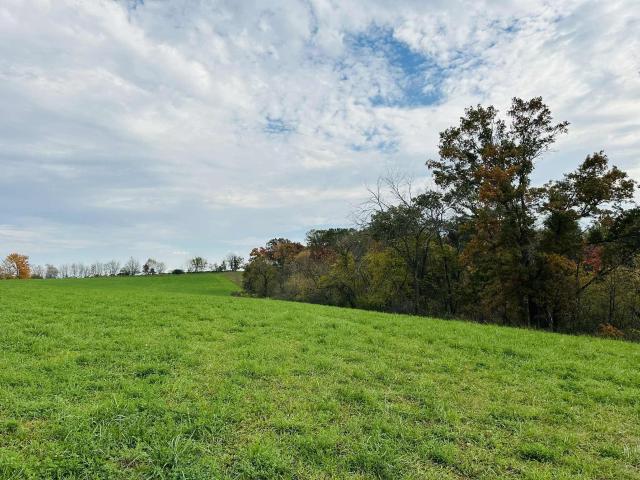 32.25 Acres Hwy 80