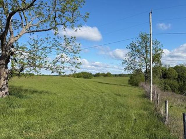 32.28 Ac Chipman Ridge Rd, Williamstown, KY 41097