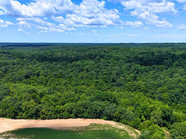32.34 acre 8669 Bird Lane