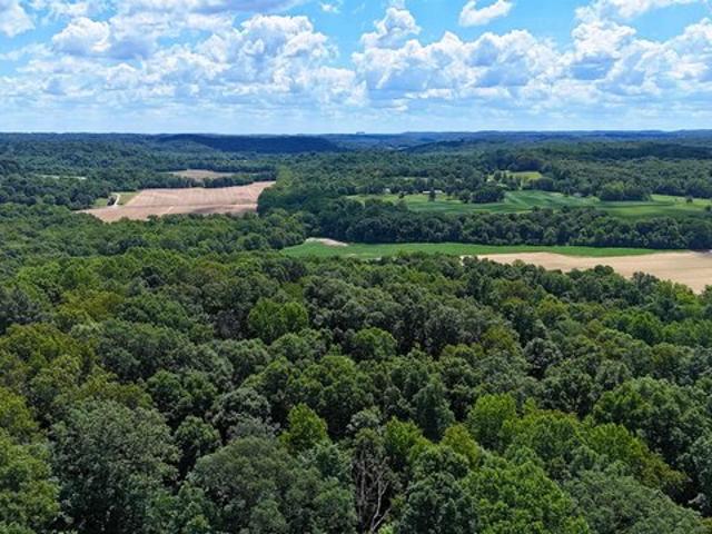 32.34 Acre 8669 Bird Ln, Shoals, IN 47581