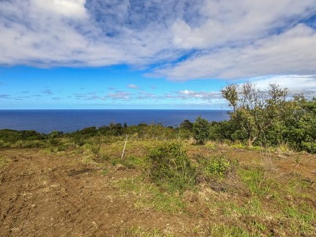 32 360 Kapena Rd, Ninole, HI 96773