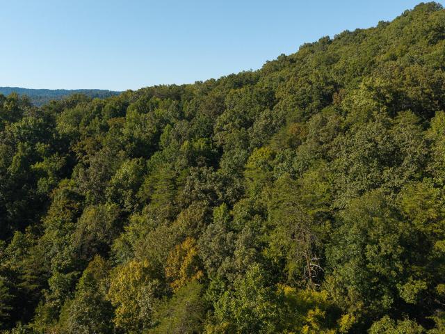 32.38 AC Off Panther Creek Rd