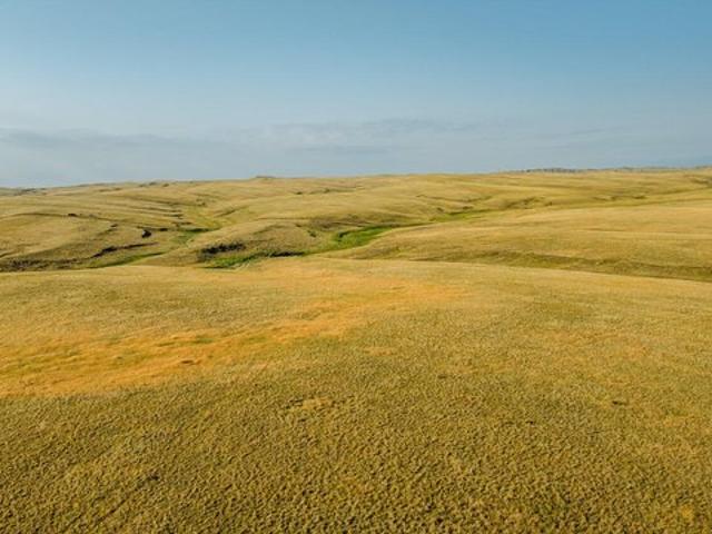 32 Wallows Creek Rd, Buffalo, WY 82834