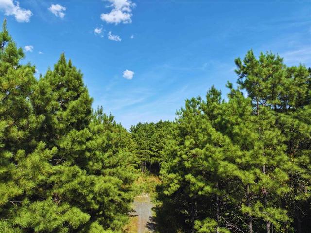 32 Wayward Pine Trl Trail
