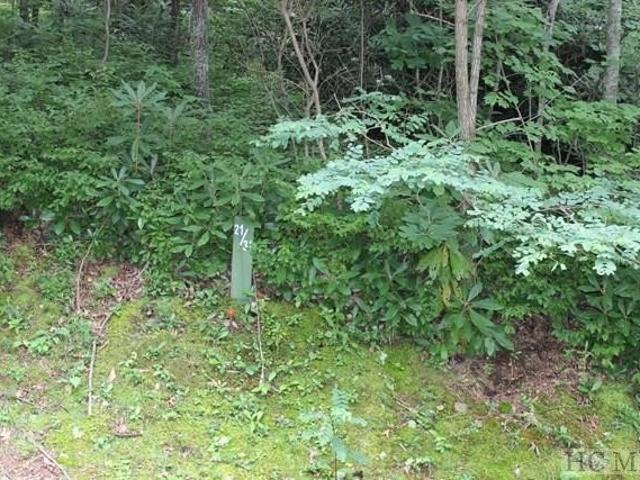 32 Whitewater Ridge Rd Lot 32, Sapphire, NC 28774