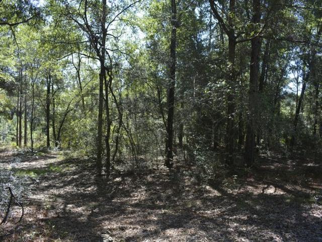 32 Ac Aplin Rd, Crestview, FL 32539