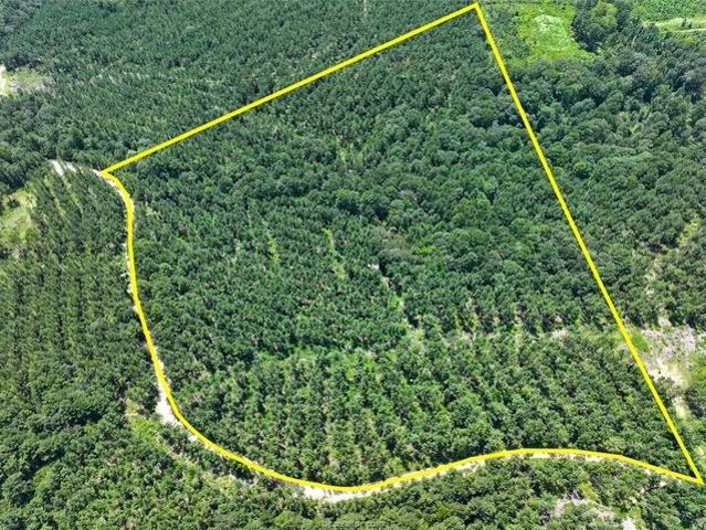 32 Ac Slim Palmer Rd, TX 75980