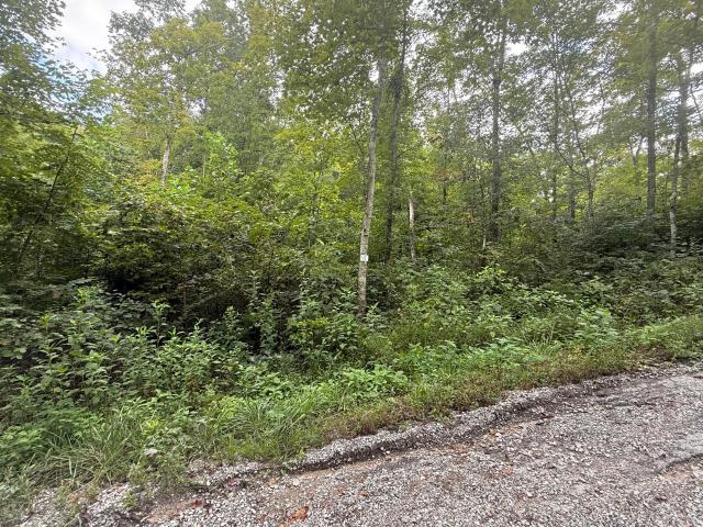 32 Buck Creek Circle