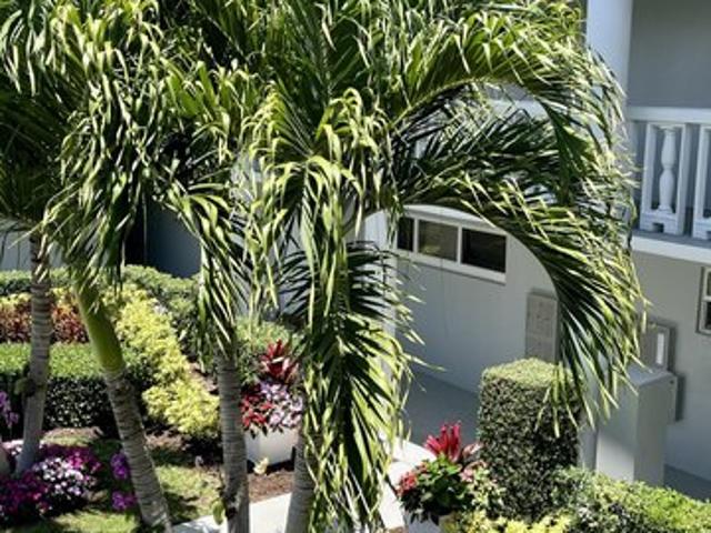 32 Colonial Club Dr Apt 203, Boynton Beach, FL 33435