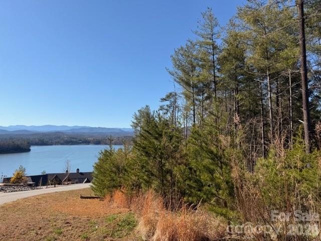 32 Clear Vw Way, Unit 133 PH 2, Nebo, NC 28761 | MLS #4356