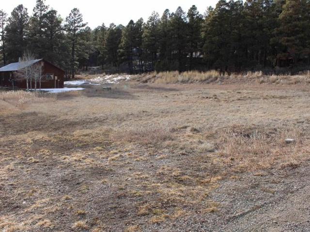 32 Frolic Ct, Pagosa Springs, CO 81147