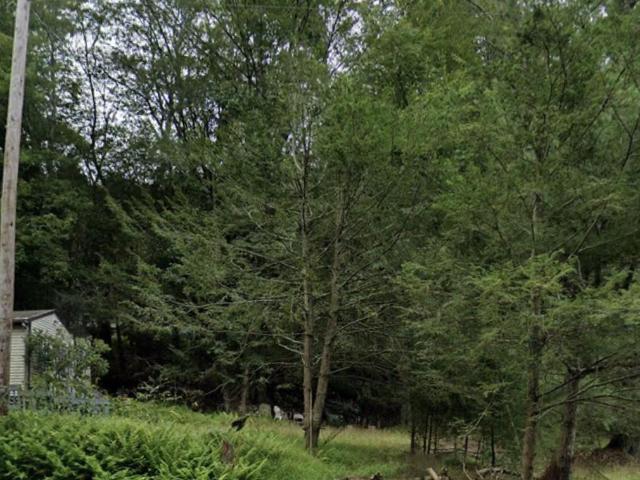 32 Highland Lake Rd, Eldred, NY 12732 | Compass