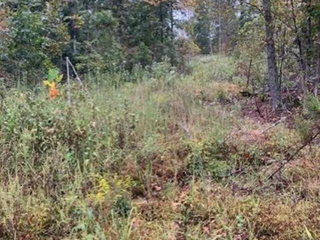 32 Madison County Road 410, Fredericktown, MO 63645