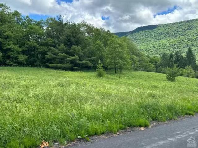 32 MAIL ROUTE ROAD, ASHLAND, NY 12496 Vacant Land For Sale ML.