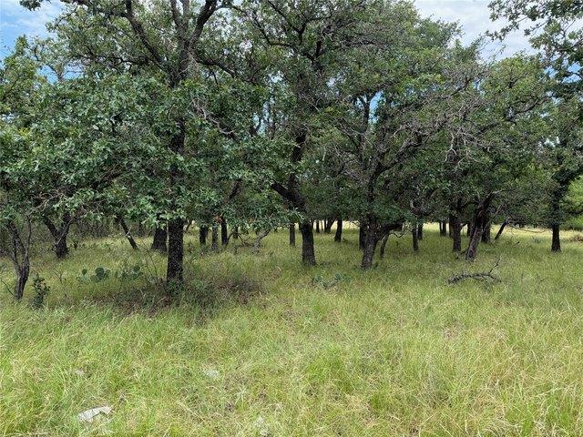 32 Oak Bluff Cir, May, TX 76857