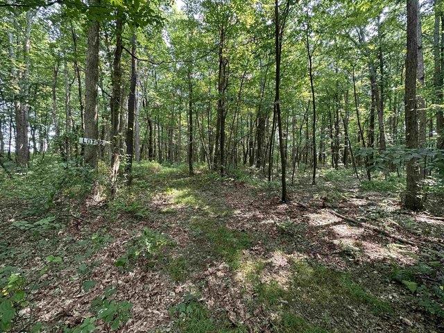 32 Oak Dr, Albright, WV 26519