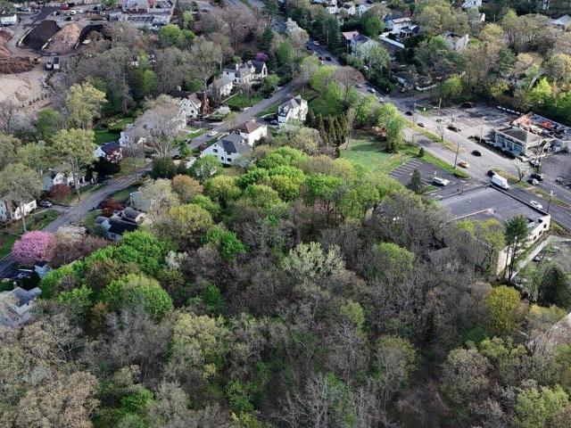 32 Rosedale Ave