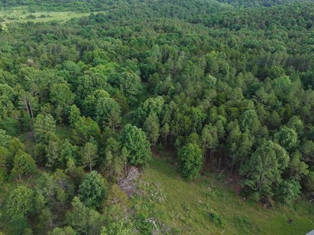 32A Kerley Point Rd, Elizabeth, AR 72531