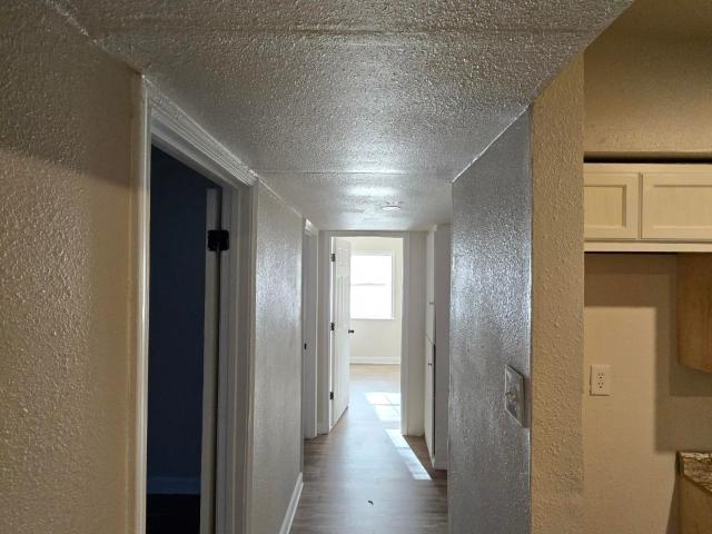 3305 Jonquil