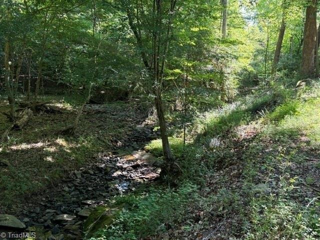 3308 Creekridge Country Rd, Randleman, NC 27317