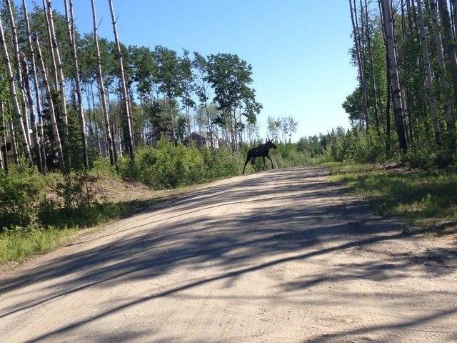 3300 Craft Ave Lot 1, Fairbanks, AK 99709