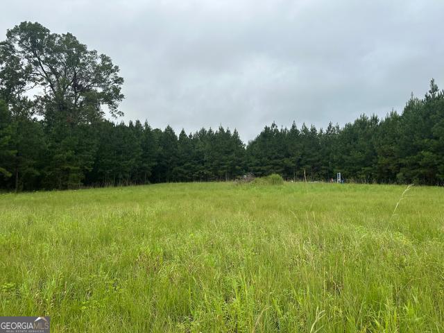 3302 Highway 67