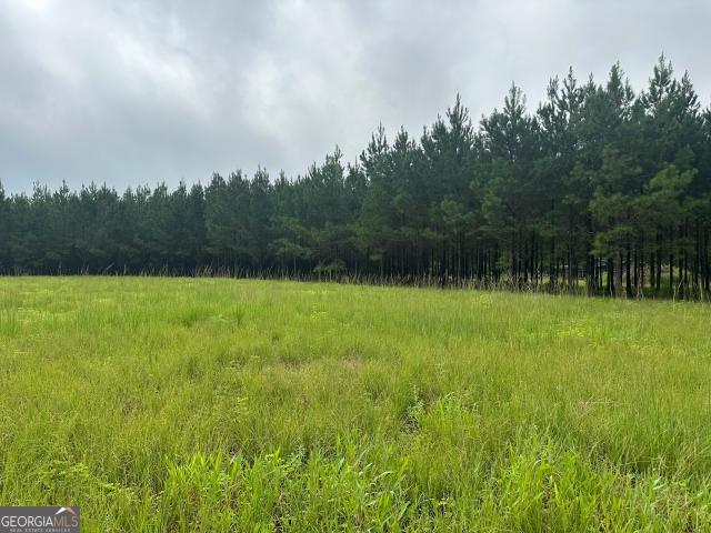 3302 Highway 67, Pembroke, GA 31321 | Compass