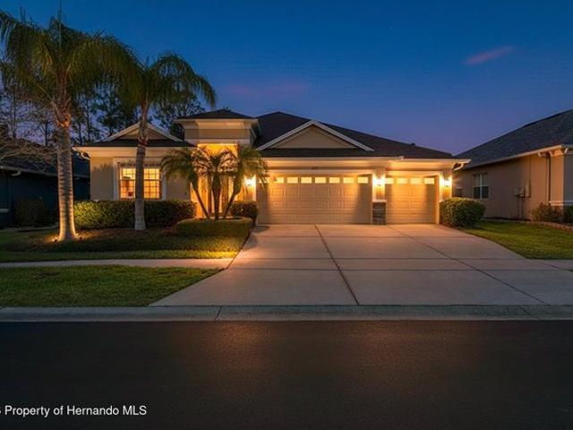 3303 Stonegate Falls Dr, Land O' Lakes, FL 34638