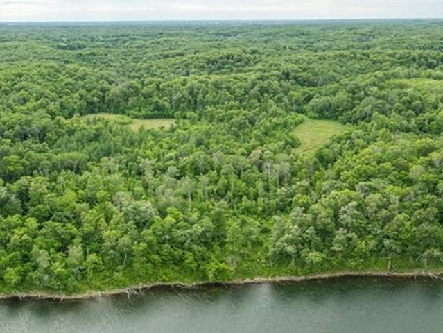 330th Ave, Detroit Lakes, MN 56501