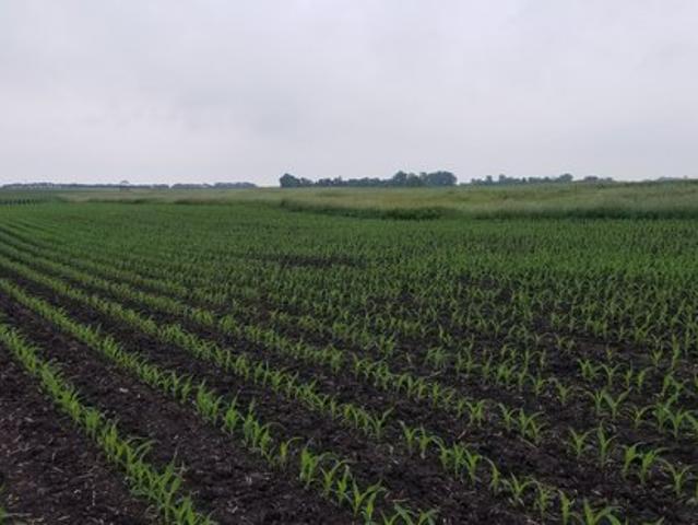 330th Ave, Westbrook, MN 56183