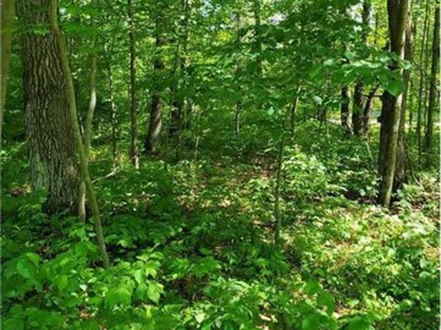 330th St, Motley, MN 56466