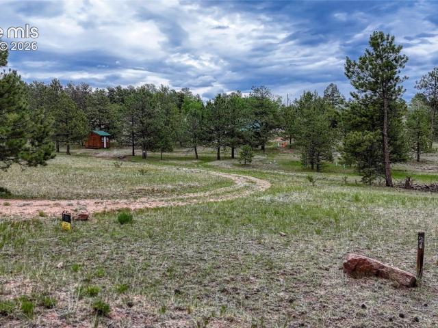 330 Arrowhead Dr, Florissant, CO 80816 | MLS #6238