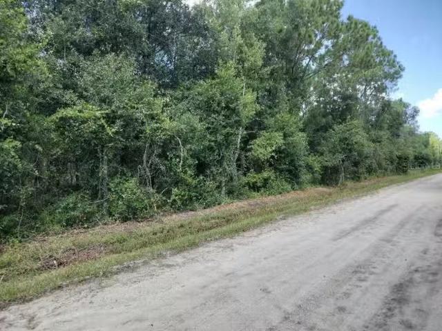 330 GARDEN LN, BUNNELL, FL 32110 Vacant Land For Sale MLS# FC.