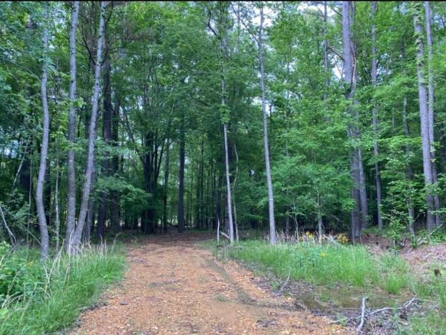 330 Lick Creek Rd, Michie, TN 38357 | MLS #10196 | Compass