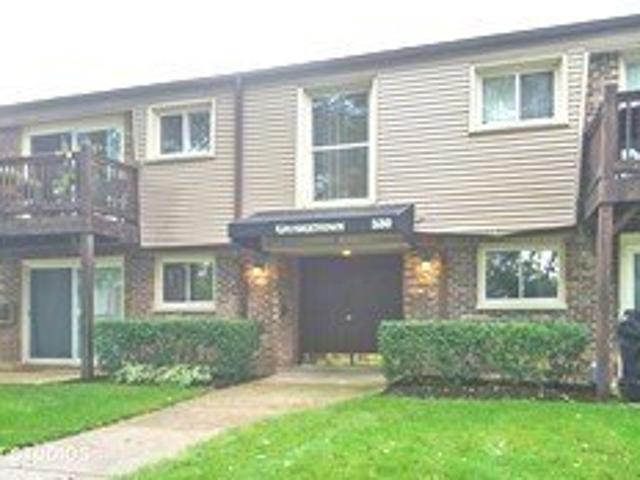 330 N Carter St Unit 203, Palatine, IL 60067