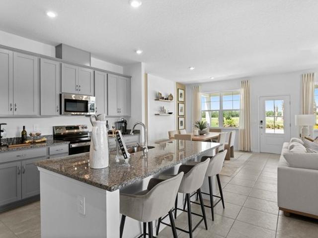 33157 Happy Heart Dr, Wesley Chapel, FL 33545