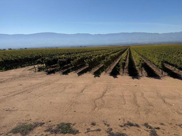 33155 Gloria Road