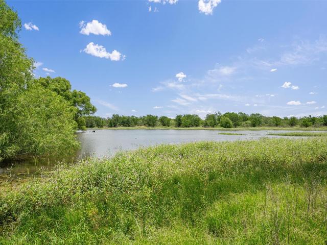 3315 County Road 463