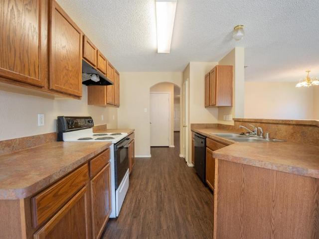 3316 Knoll Trail
