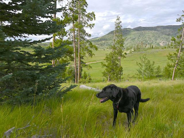 33170 Wenatchi Trail, Oak Creek, CO 80467 | MLS #S1067 | Compass