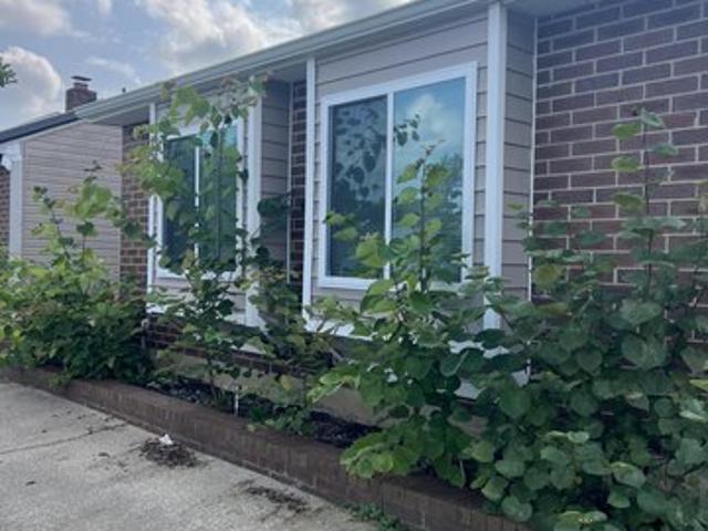 3317 Fox Trace Rd, Lexington, KY 40515